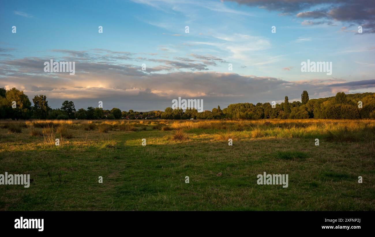 Godalming town, Surrey, England. Town in the Surrey Hills home to ...