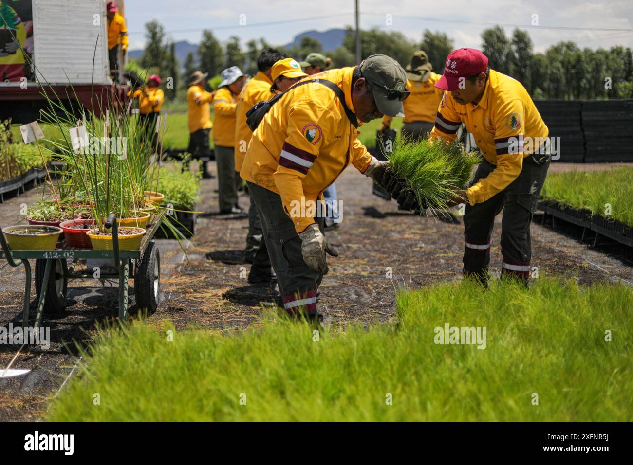 Non Exclusive: Workers of Heroic brigade corps planting containers with ...
