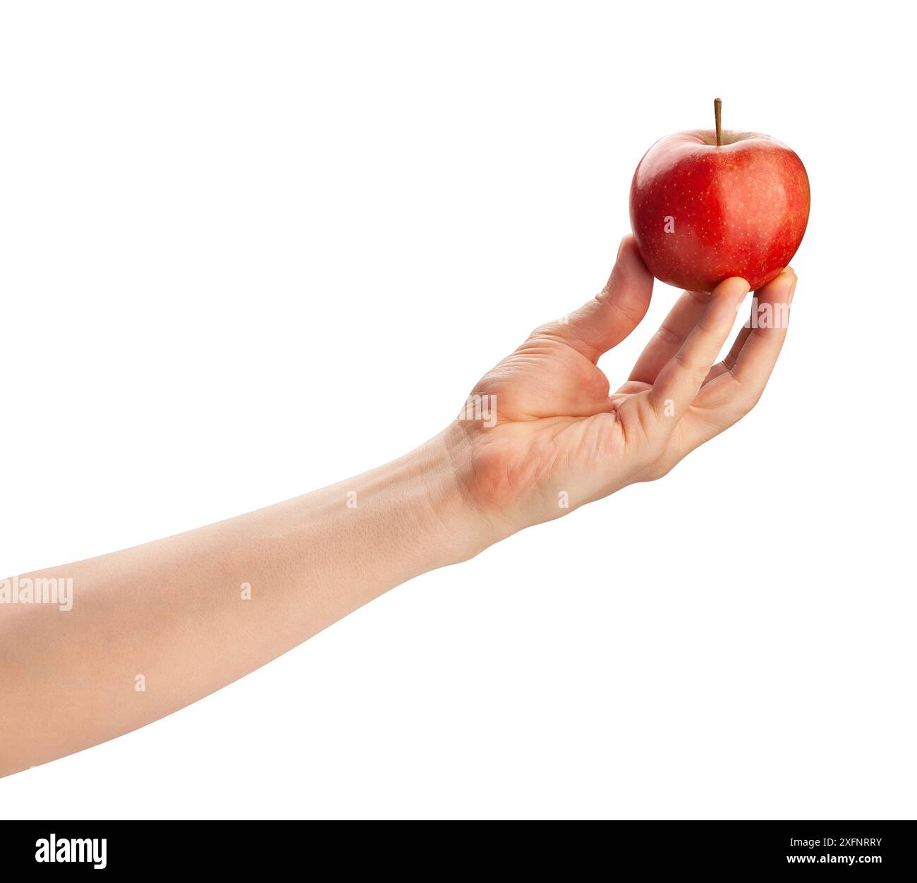 apple in hand path isolated on white Stock Photo - Alamy