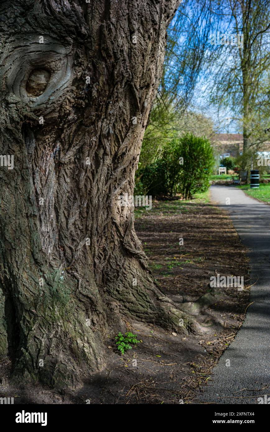 Godalming town, Surrey, England. Town in the Surrey Hills home to ...