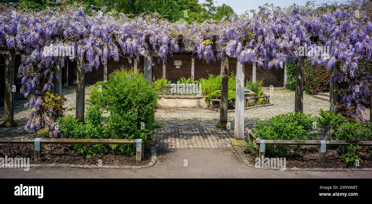 Godalming town, Surrey, England. Town in the Surrey Hills home to ...