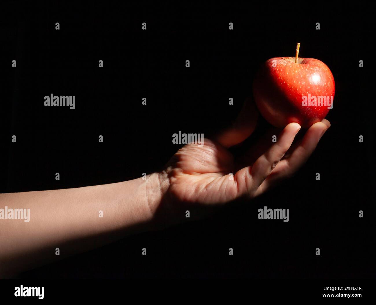 Hand holding apple hi-res stock photography and images - Alamy