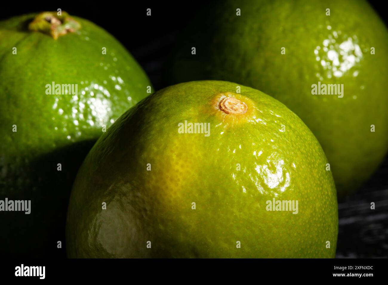 Lime wood hi-res stock photography and images - Alamy