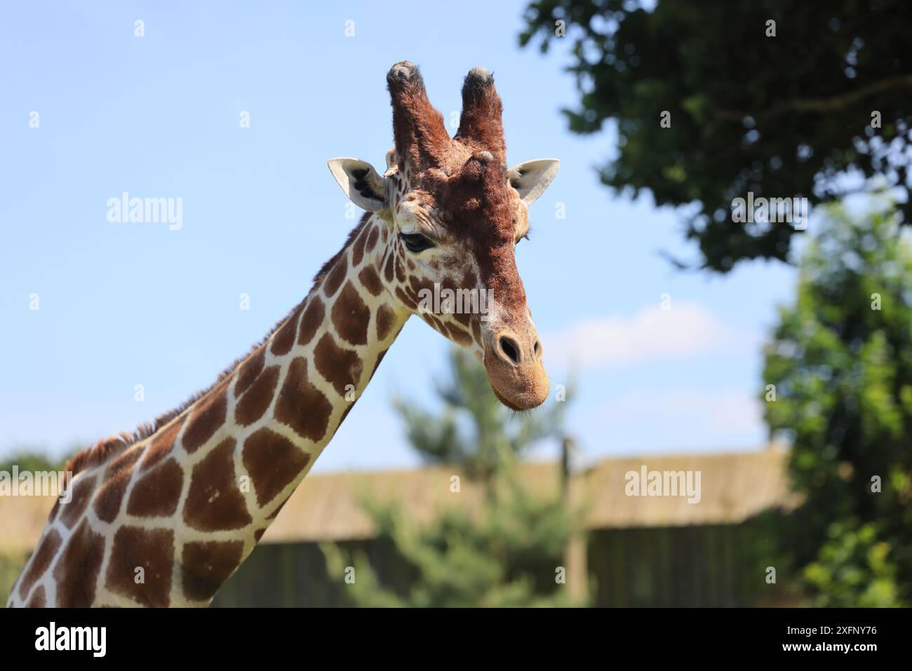 The Yorkshire Wildlife Park, a zoo, wildlife conservation ...