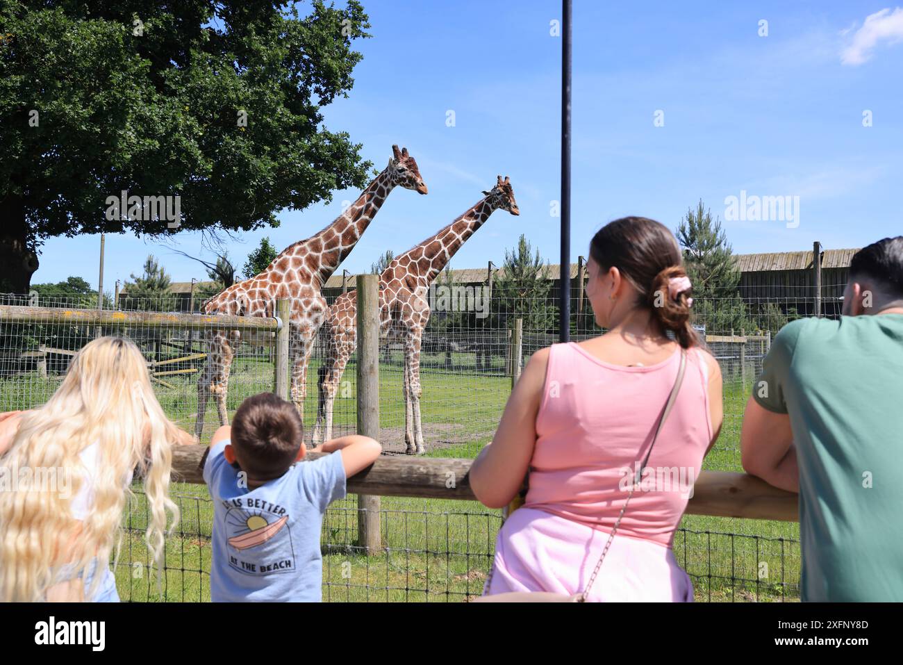 The Yorkshire Wildlife Park, a zoo, wildlife conservation ...