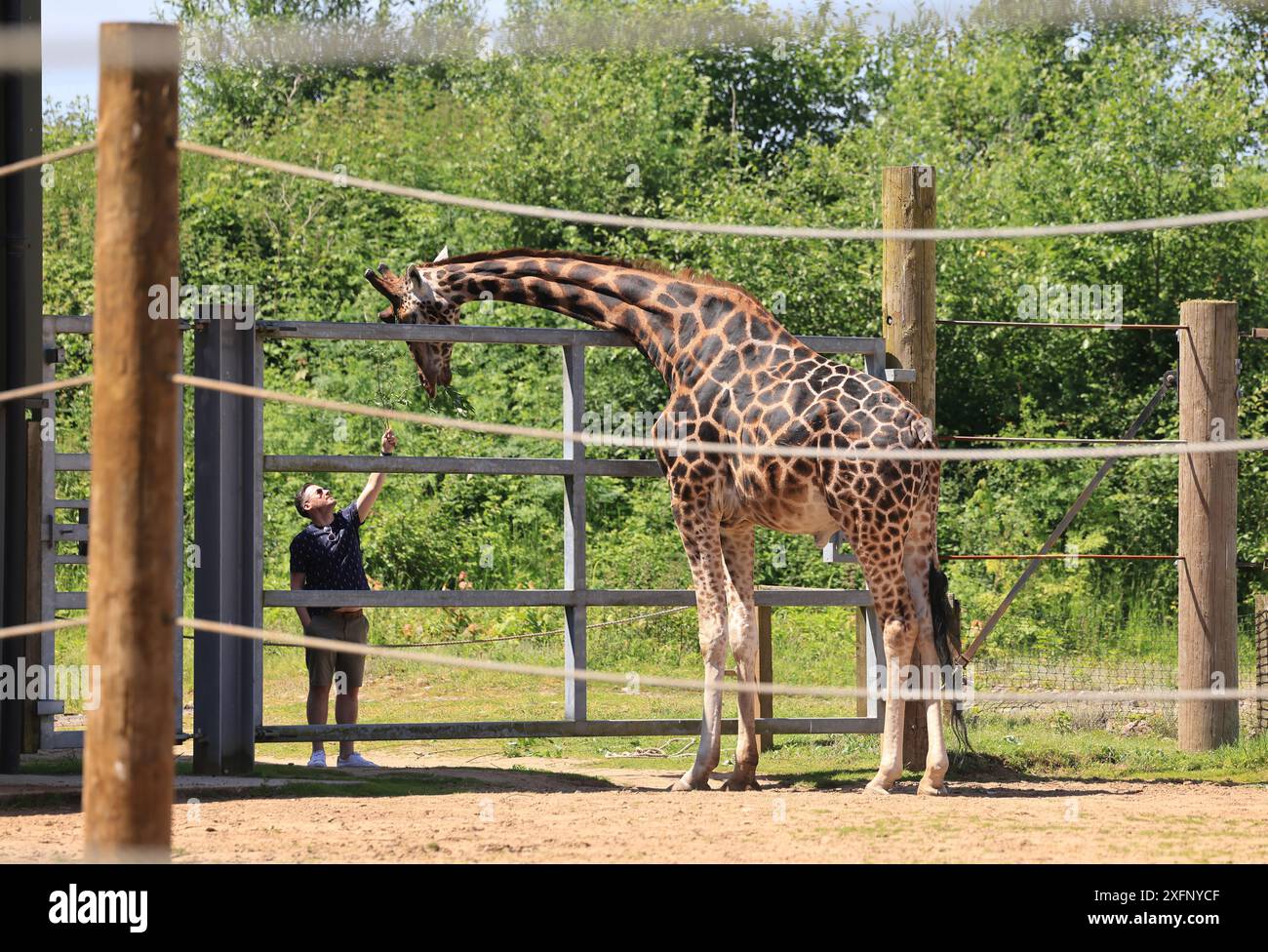 The Yorkshire Wildlife Park, a zoo, wildlife conservation ...