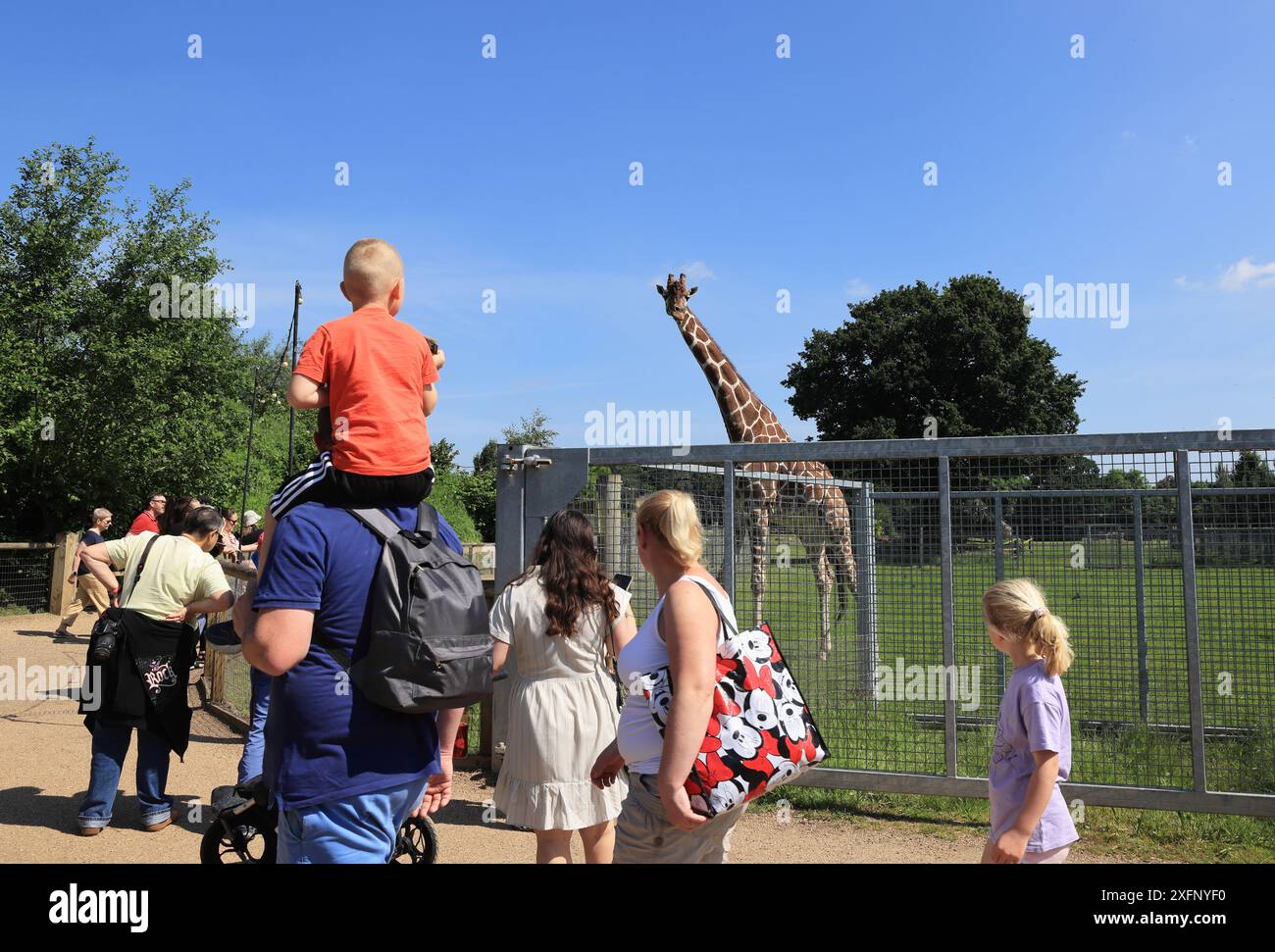 The Yorkshire Wildlife Park, a zoo, wildlife conservation ...