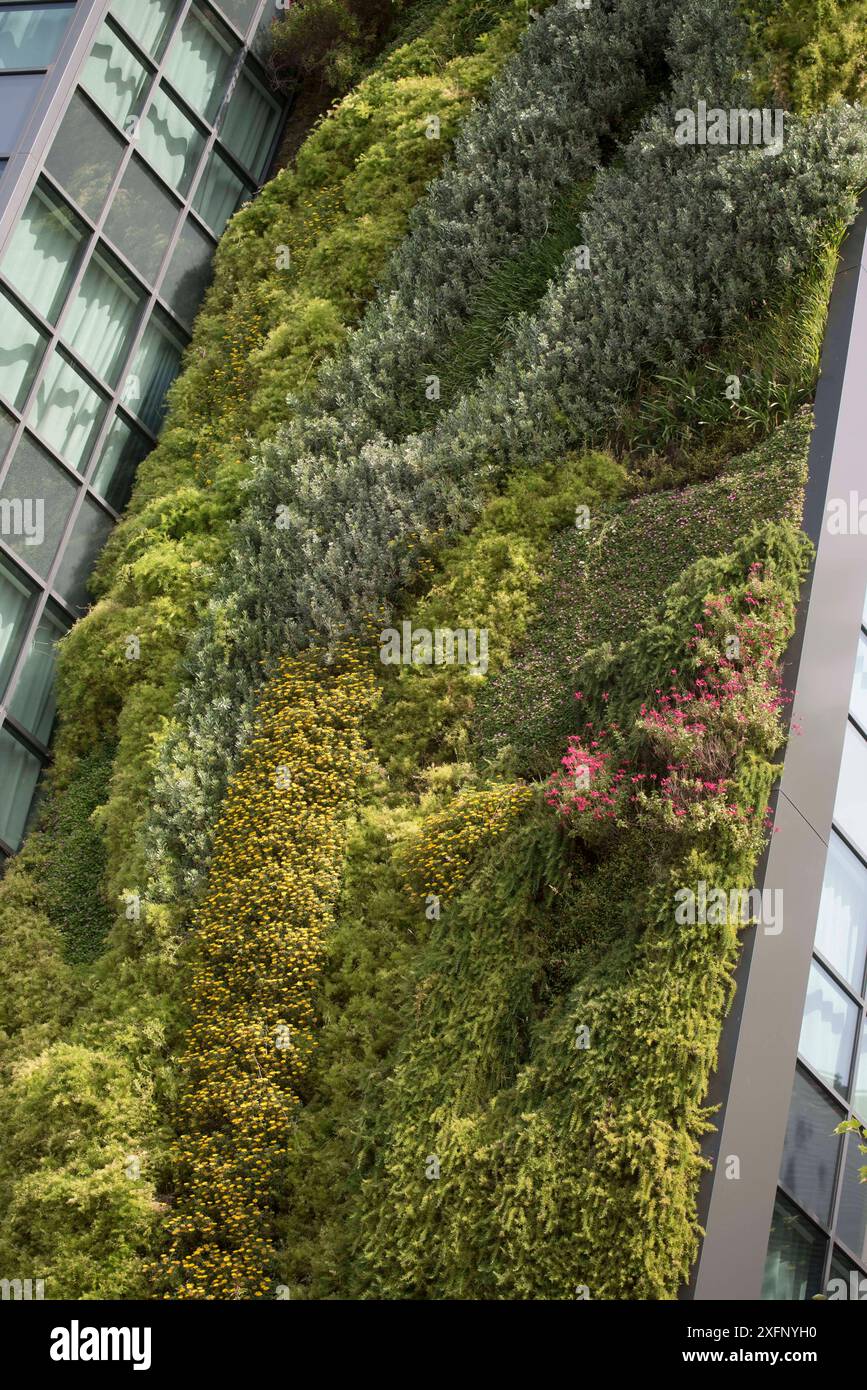 Lively species hi-res stock photography and images - Alamy