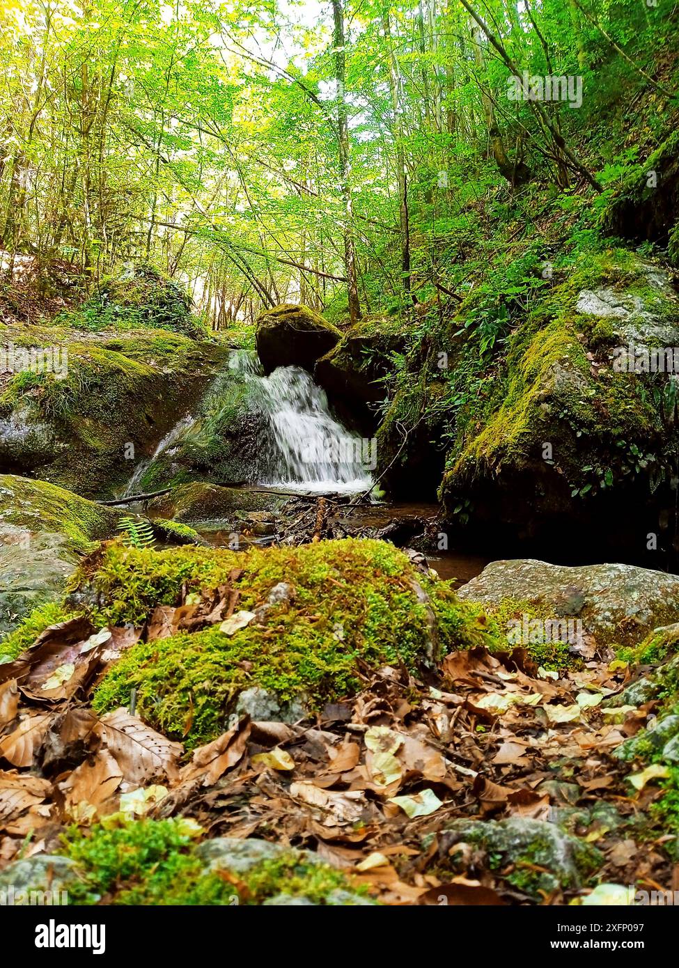 the stream of a brook or a creek in nature stream of a brook or a creek ...