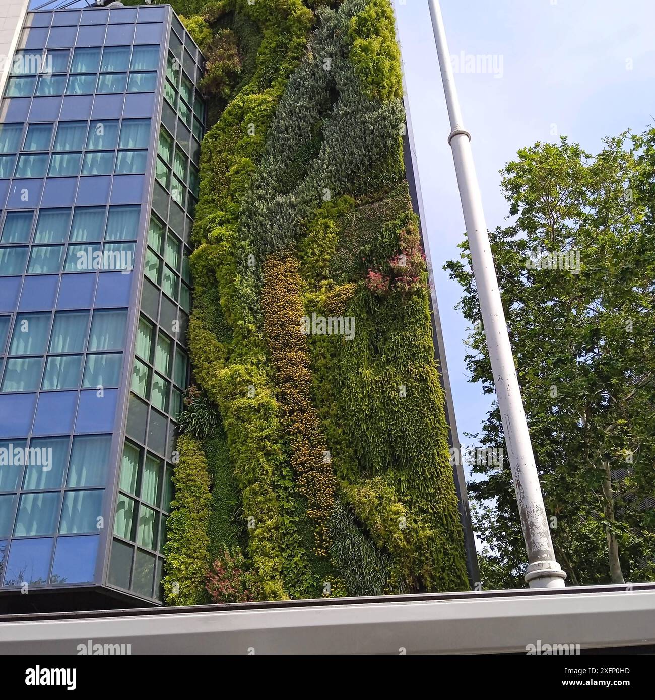 Lively species hi-res stock photography and images - Alamy