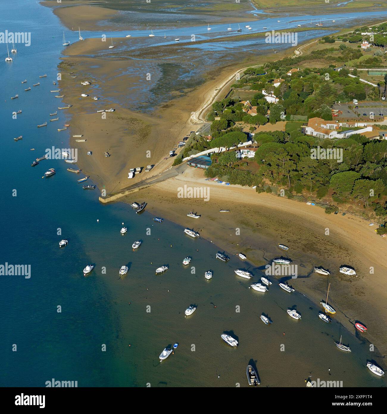 Patache hi-res stock photography and images - Alamy