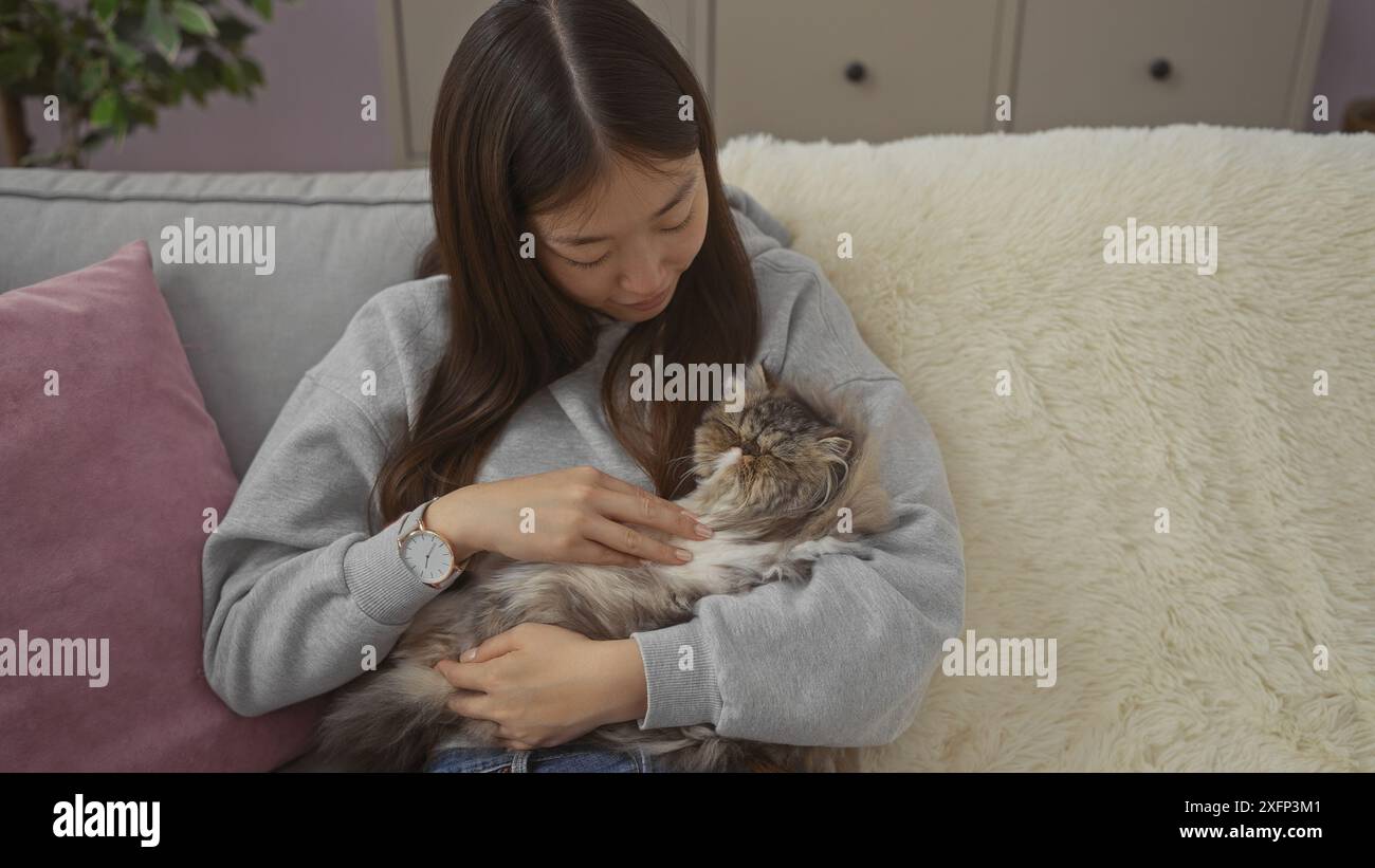 In a cozy home setting, an asian woman lovingly cradles her cat while ...