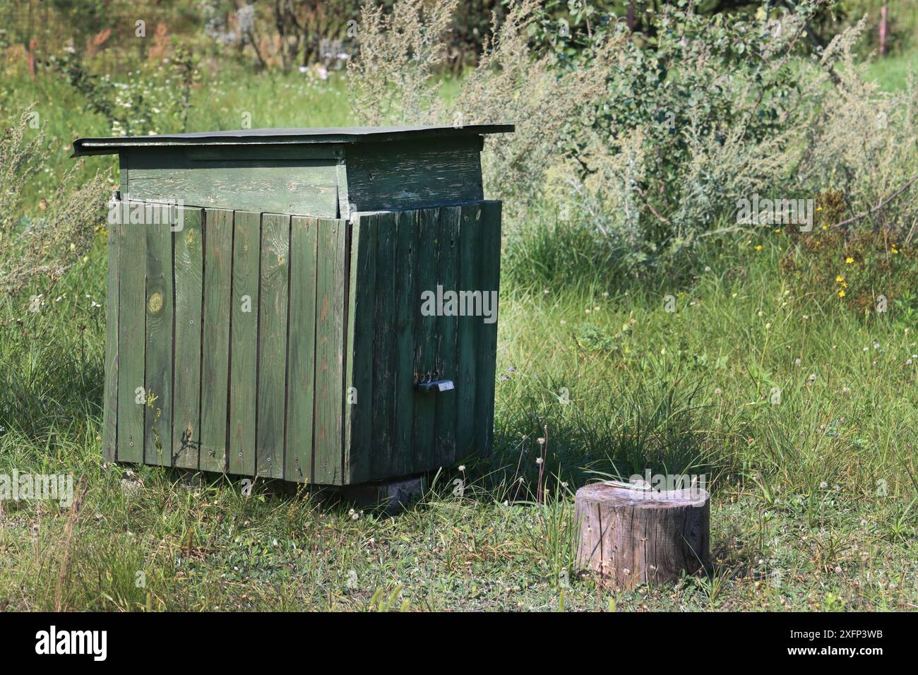 Abandoned bee hives in nature. Wooden beehives for bees on green grass ...