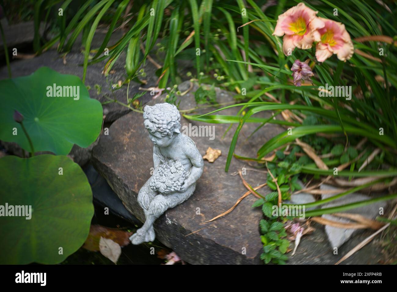 Proper habitat hi-res stock photography and images - Alamy