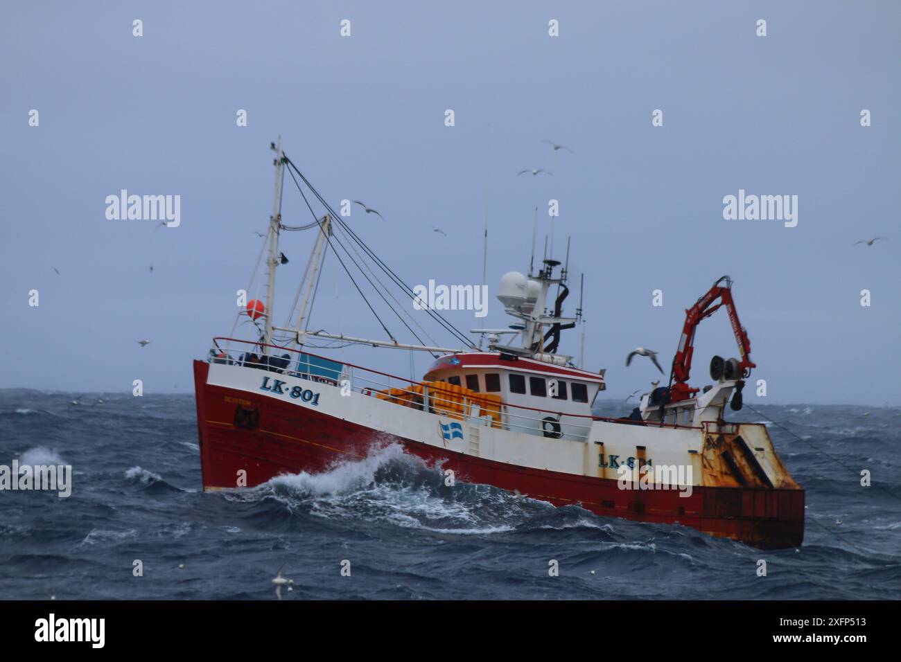 Fishing vessel 'Devotion' trawling for Monkfish west of the Shetland Isles, Scotland, UK, March ...