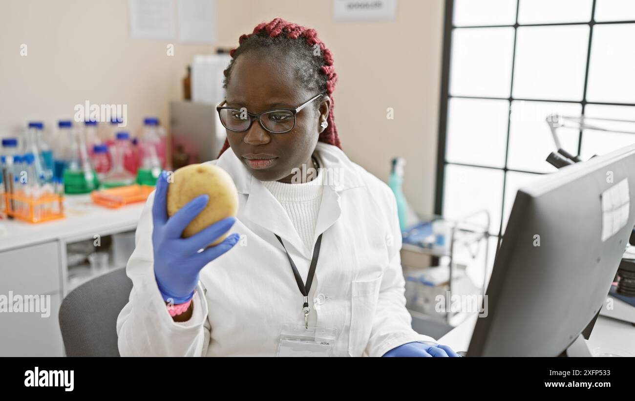 African woman scientist examining a potato in a laboratory with ...