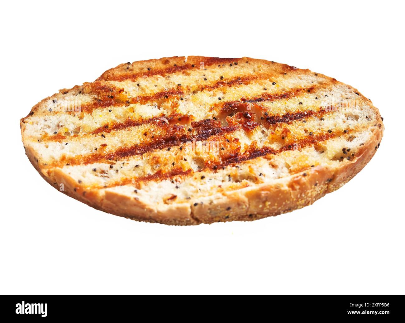 Grilled rustic bread slice isolated on white background with visible ...