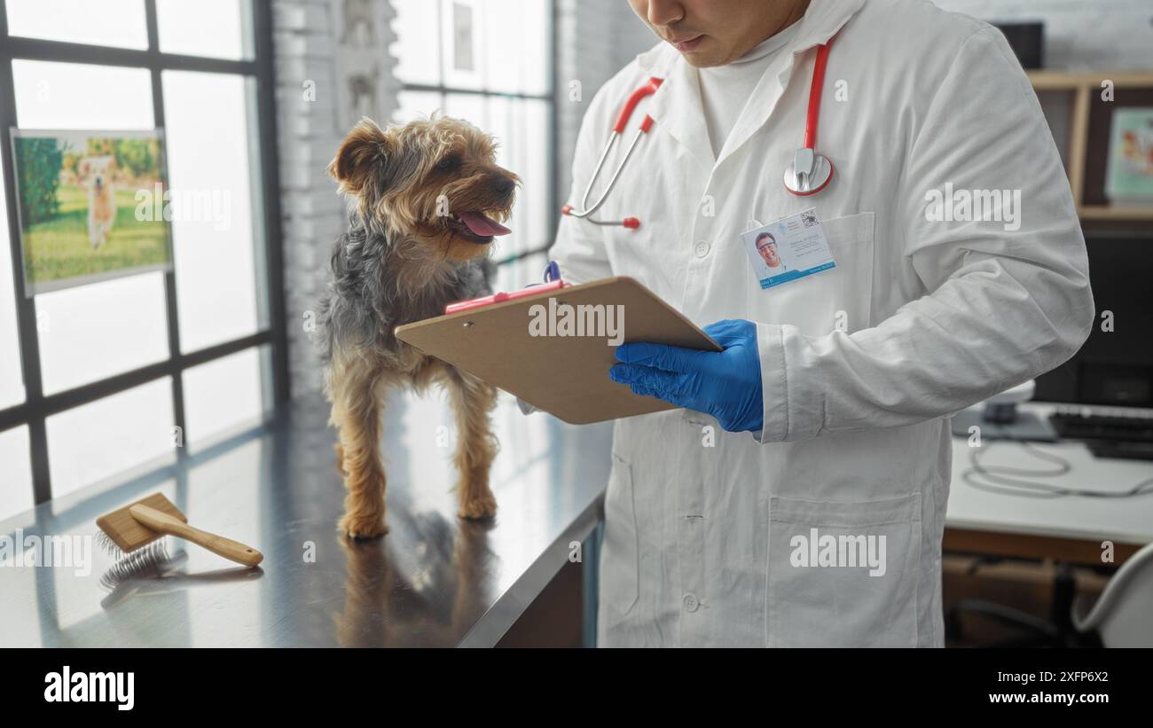 Young chinese man working as a vet in a clinic, examining a dog with a ...