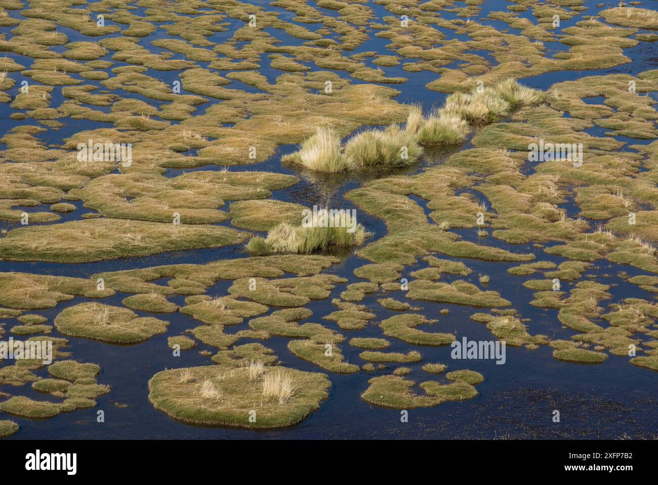 High altitude wetlands hi-res stock photography and images - Alamy