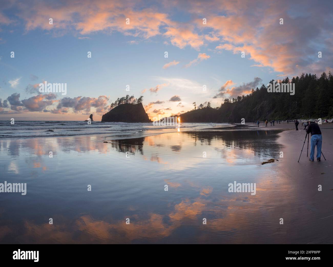 People watching the sunset behind sea stacks, Second Beach, Olympic ...