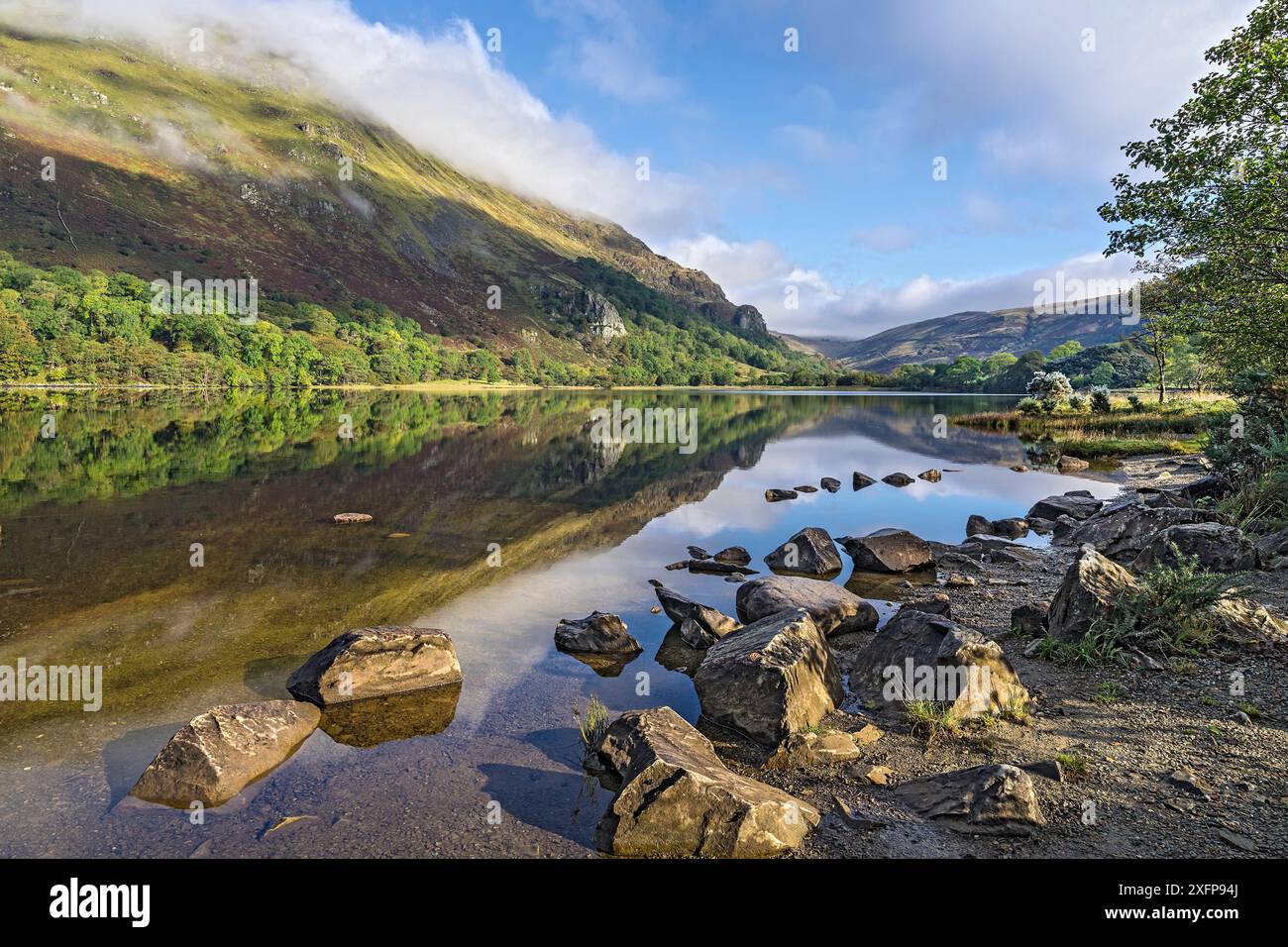 Reflections in Llyn Gwynant in the Glaslyn Valley looking north east ...