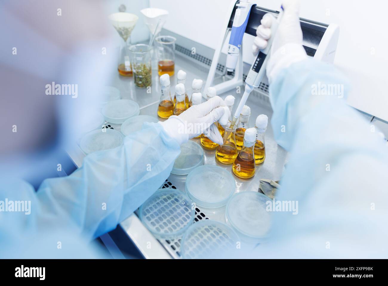 female laboratory assistant conducts research, chemical analysis ...