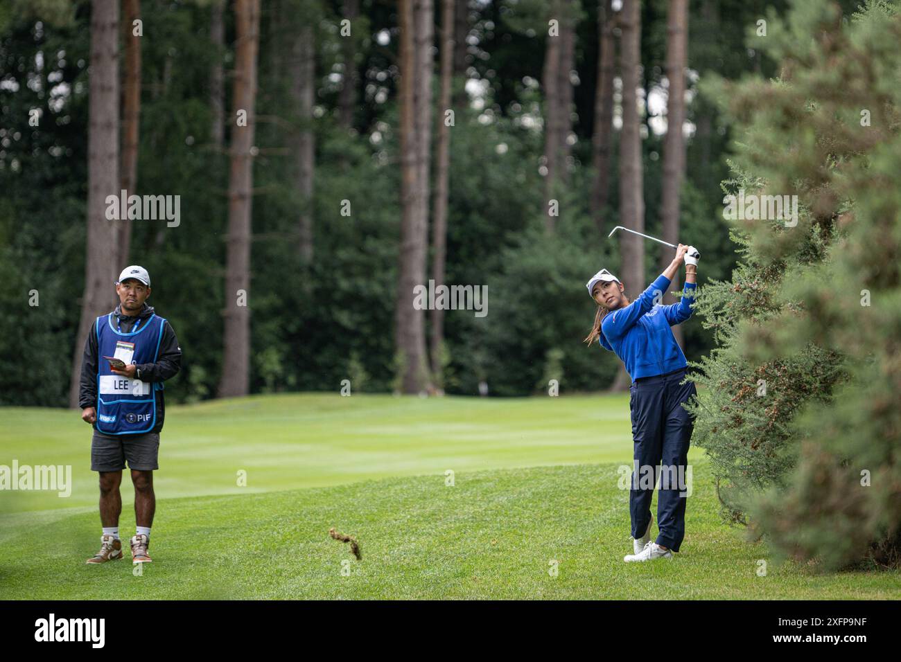 Alison lee hi-res stock photography and images - Alamy