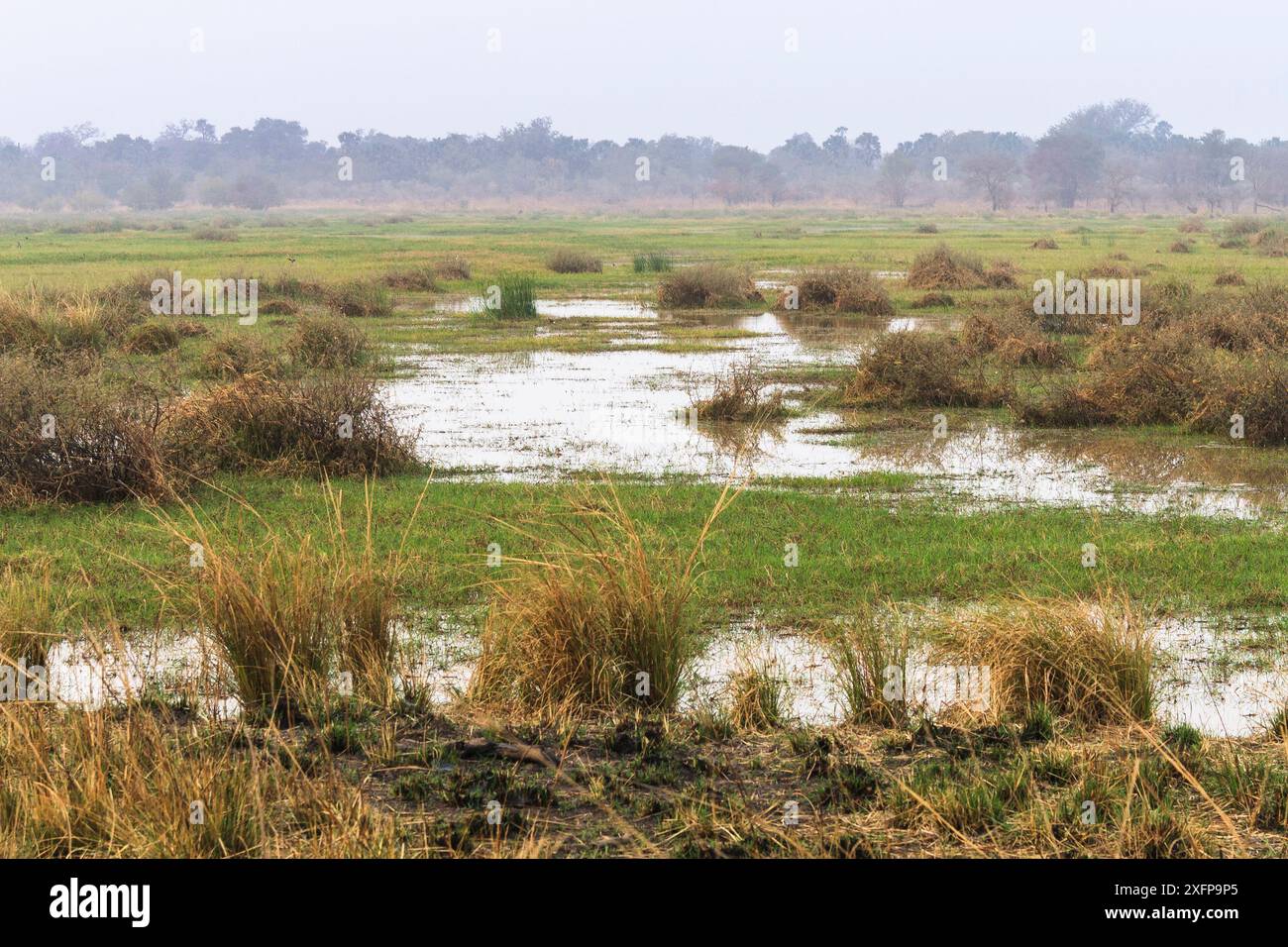 Mare Fogou (Fogou Water Hole) in wetlands of Pendjari National Park ...