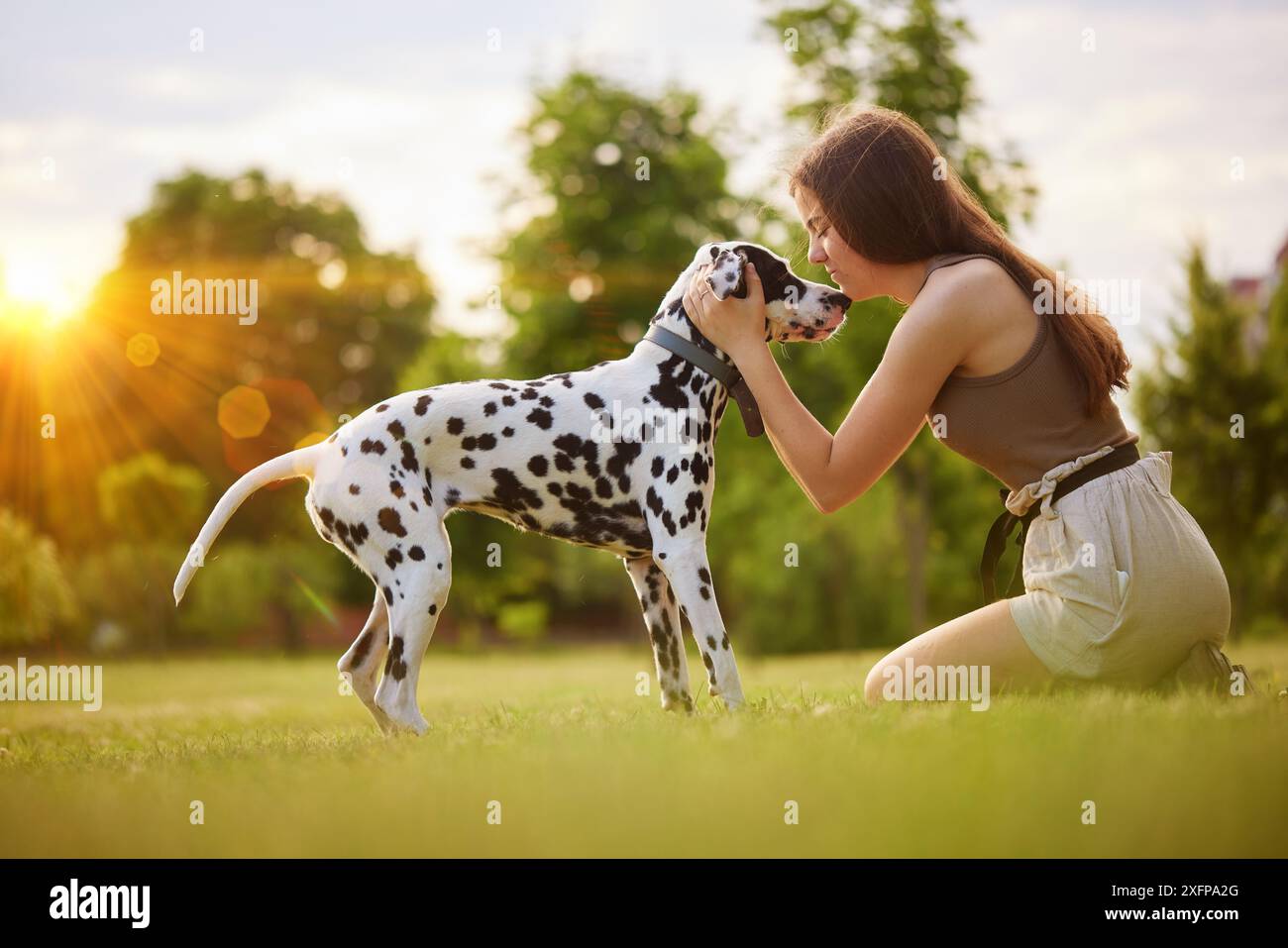a young girl plays with a dalmatian in the park. dog care concept, love ...
