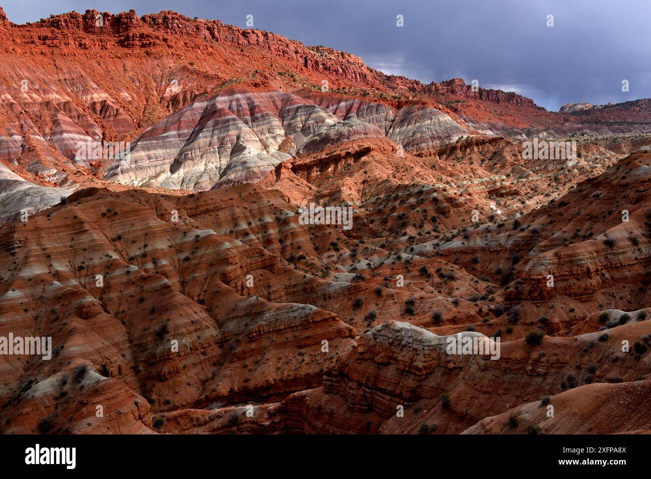 Coloured bentonite hills, Paria Canyon, Grand Staircase-Escalante ...
