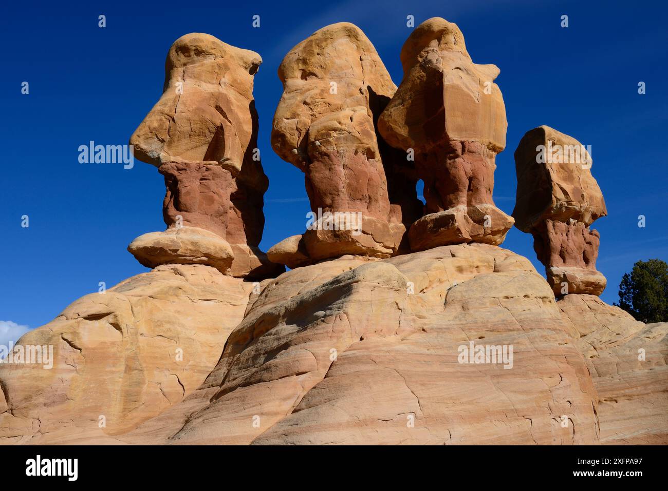 Formation caused by erosion in sandstone, Devils Garden, Grand ...