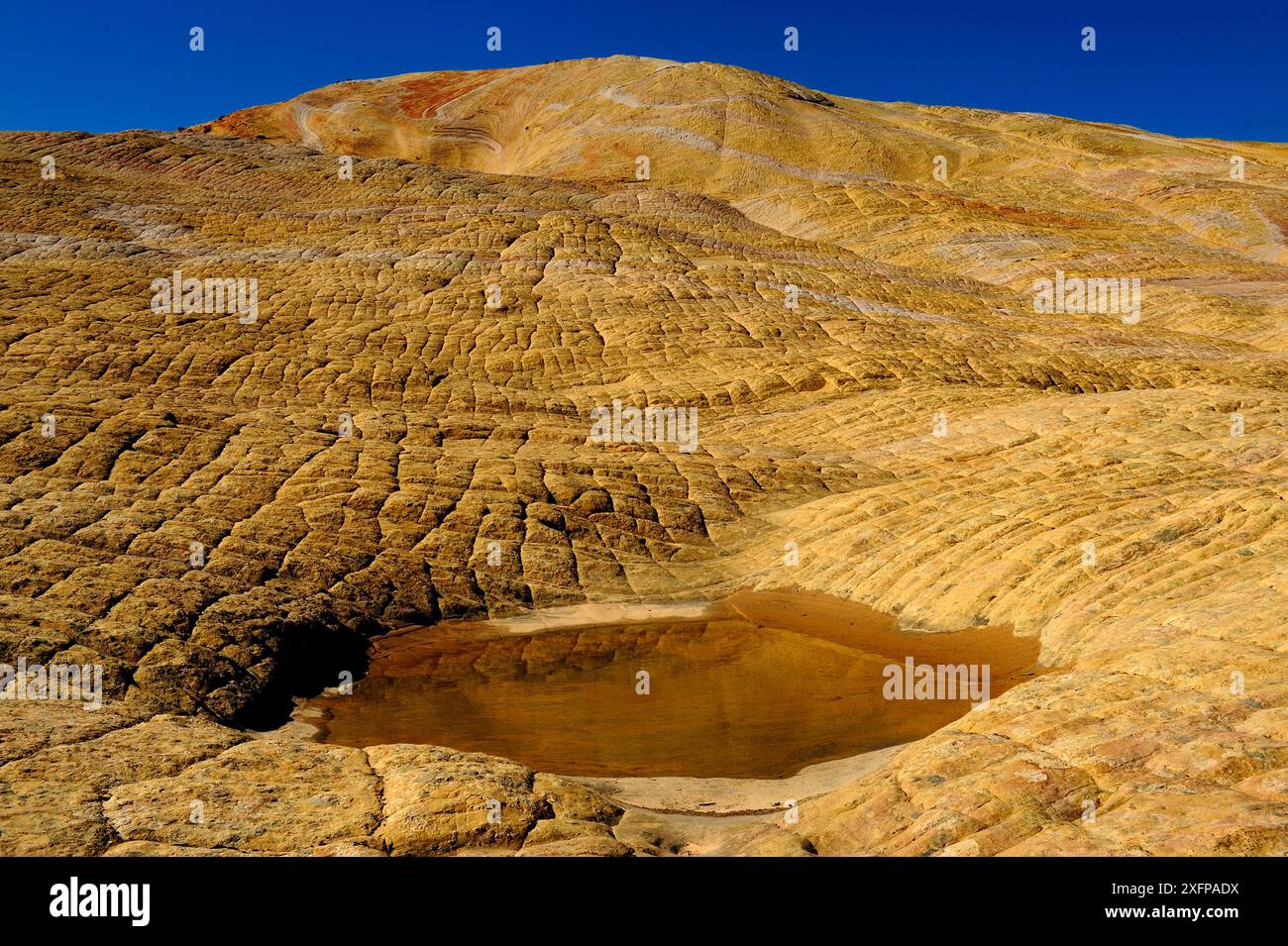 Pot holes in sandstone, Yellow Rock, Grand Staircase-Escalante National ...