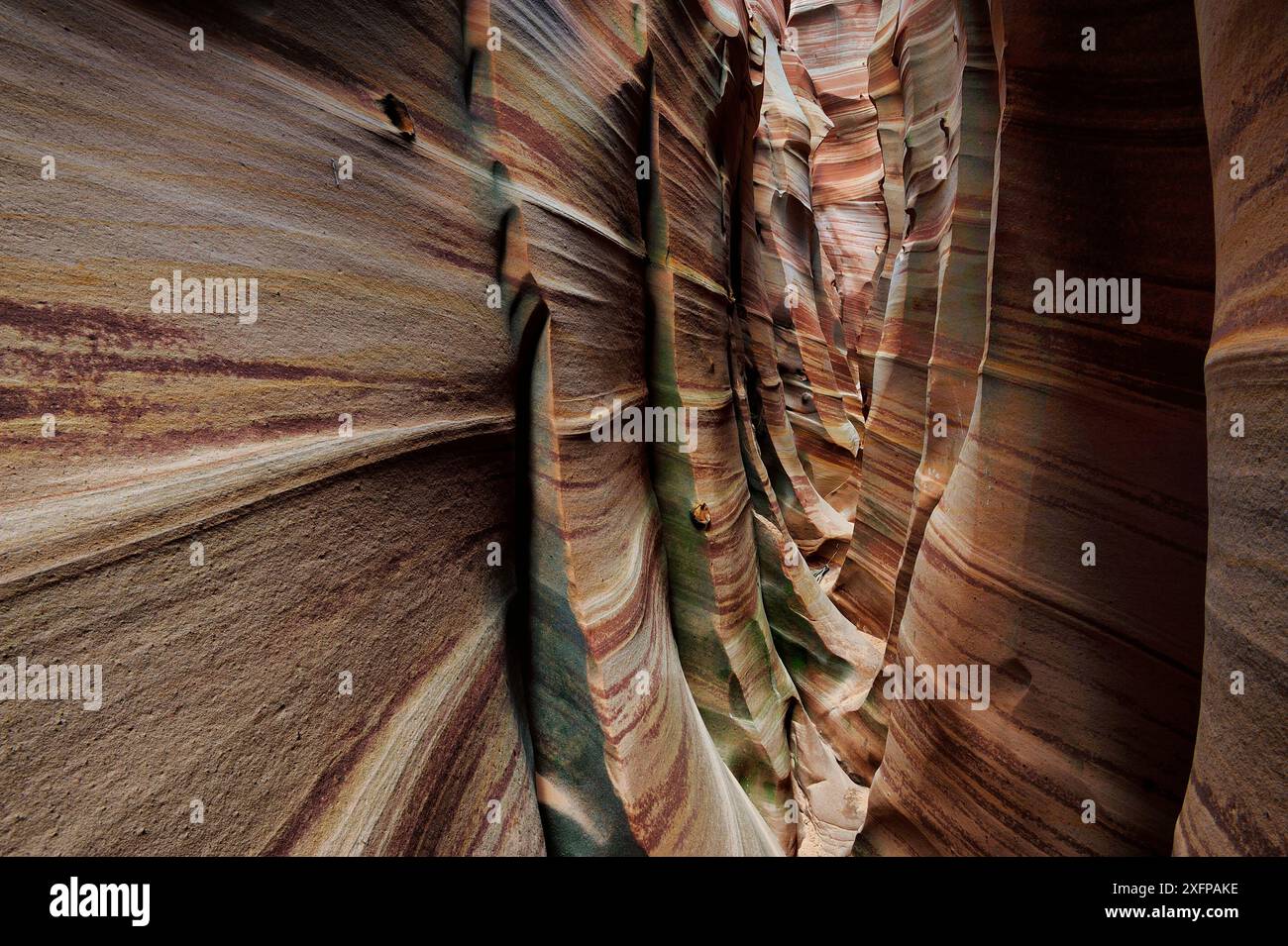 Zebra Canyon, a slot canyon with eroded sandstone patterns, Grand Staircase-Escalante National ...