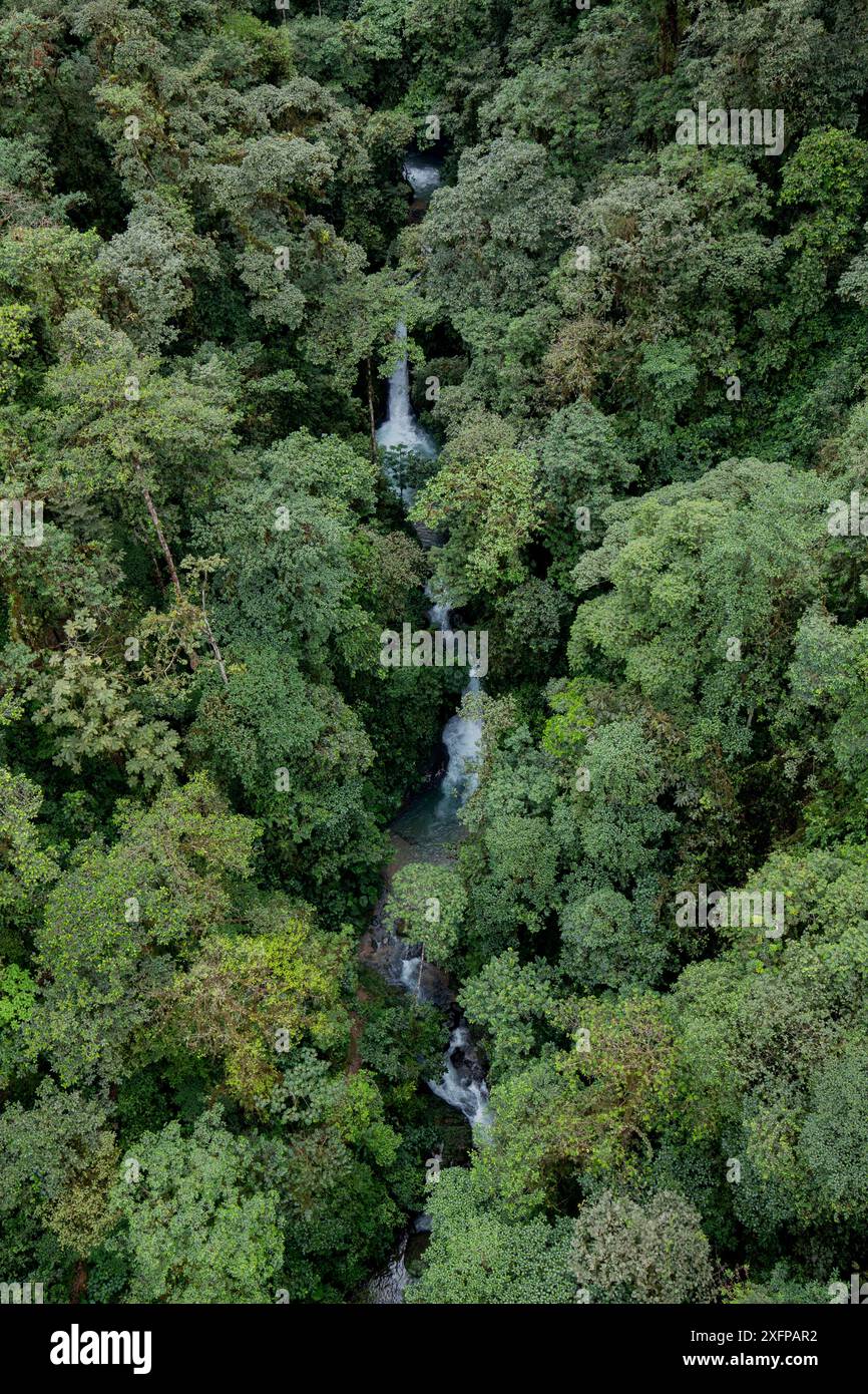 Waterfall inside a rainforest located in a transition between Choco and ...