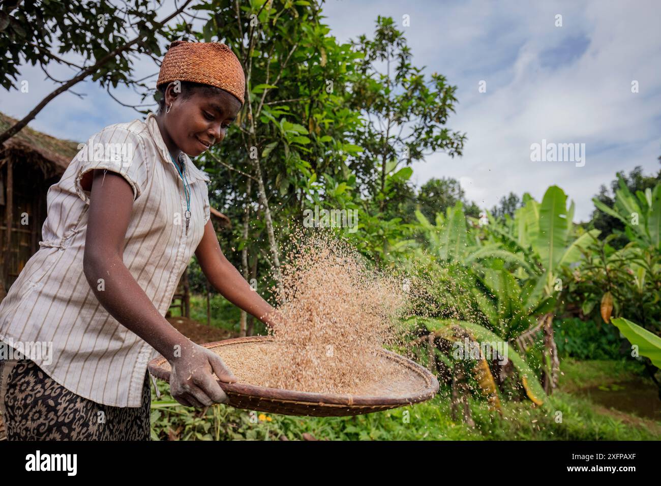 Local woman preparing rice, Andasibe-Mantadia National Park, Moramanga ...