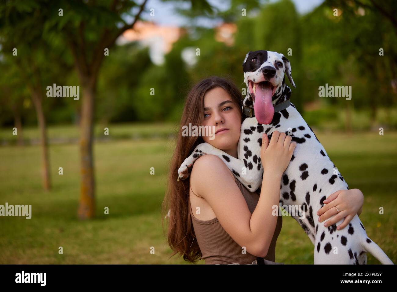 a young girl plays with a dalmatian in the park. dog care concept, love ...