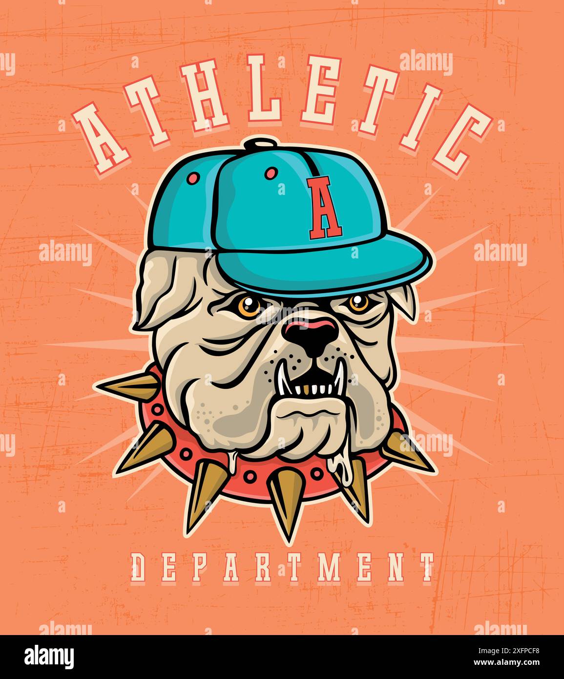 Vector illustration of bulldog with cap in mascot style. Art with ...