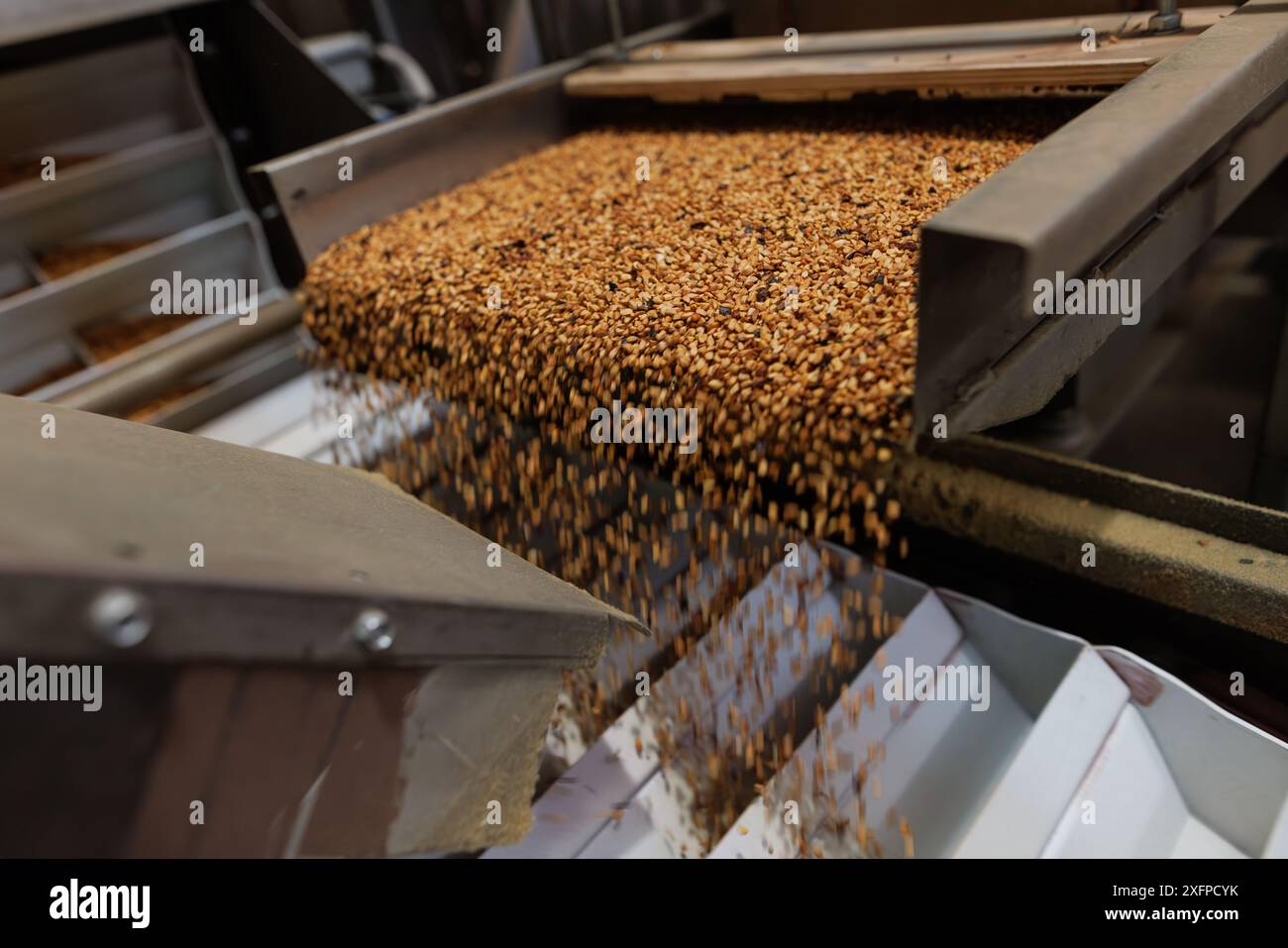 Grain sorting machine, Paddy machine sorts grains of one crop ...