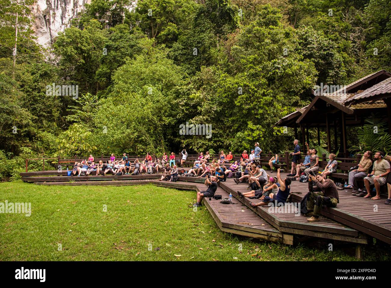 Cave person bat hi-res stock photography and images - Alamy