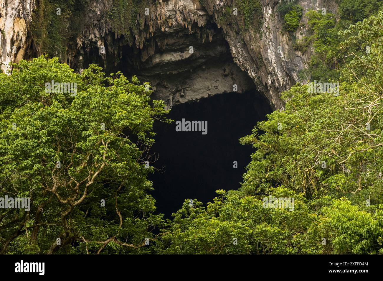 Opening of the Deer Cave, Gunung Mulu National Park, Borneo, Sarawak ...