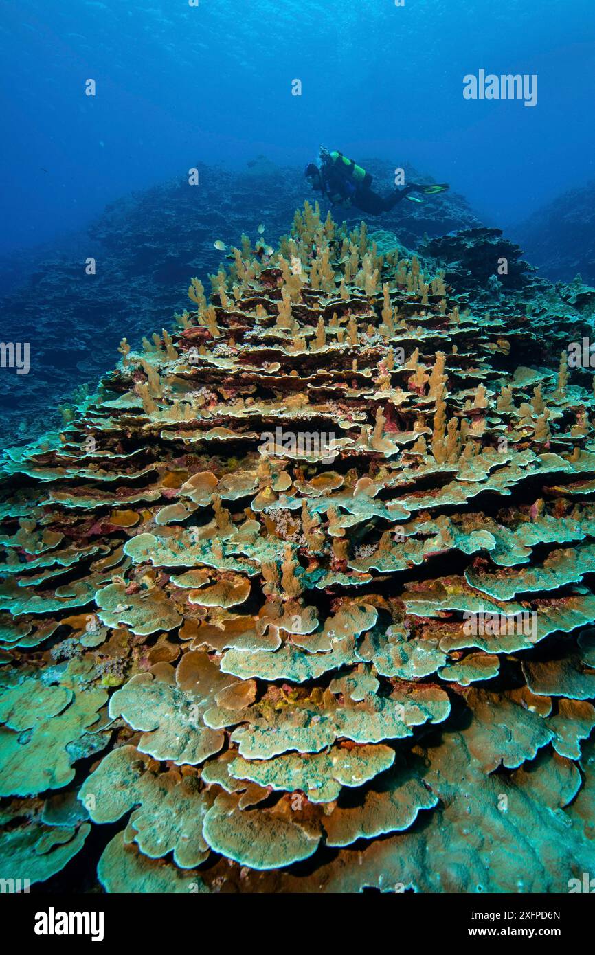 Block 65 hi-res stock photography and images - Alamy