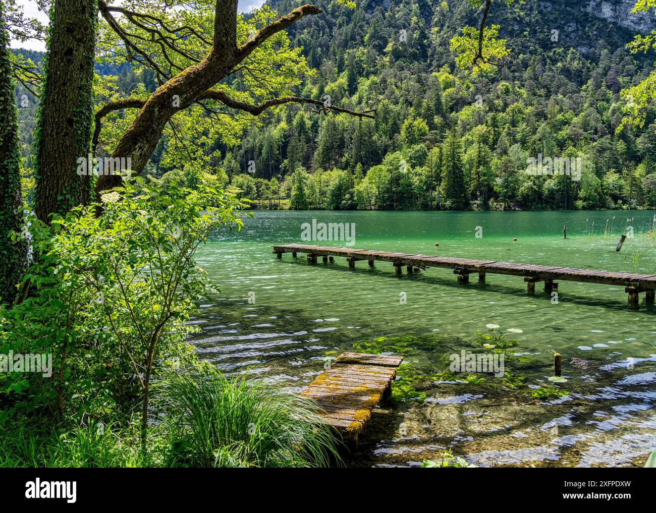 Landscape at Lake Thumsee, Bad Reichenhall, Bavaria, Germany Stock ...