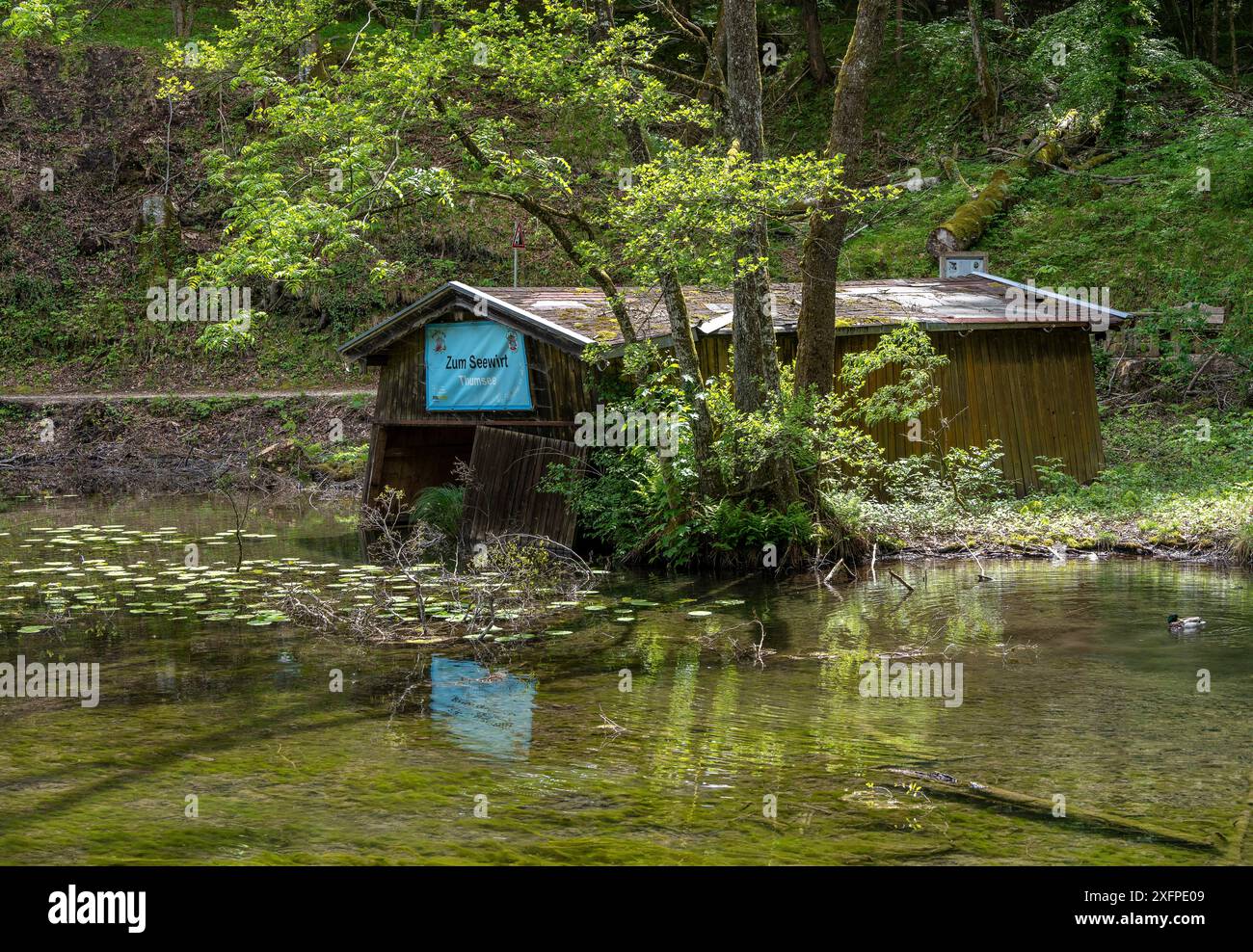 Small pond with dilapidated wooden shed in the water, Bad Reichenhall ...