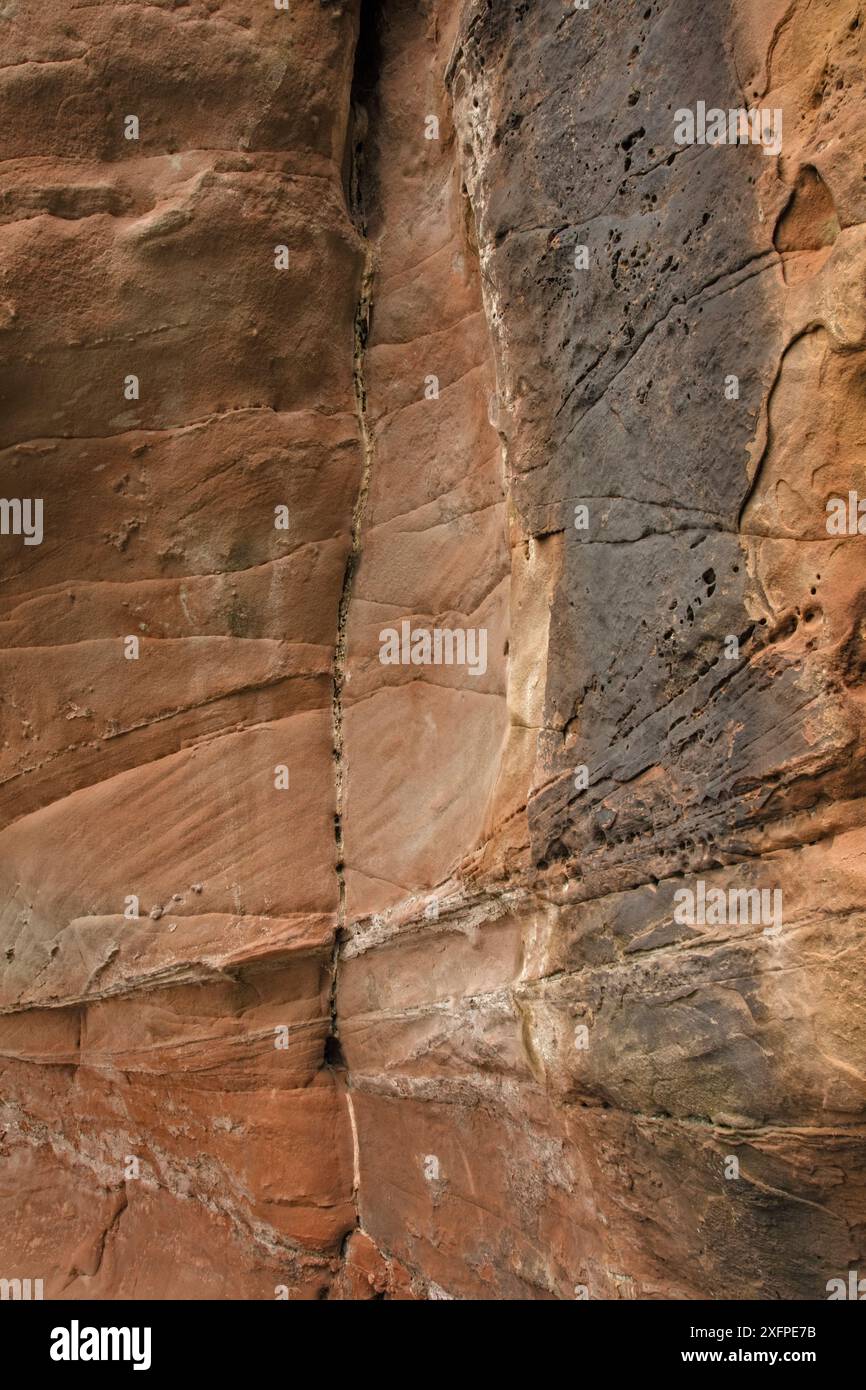 New red sandstone, cross-bedded sandstone, from the Triassic ...