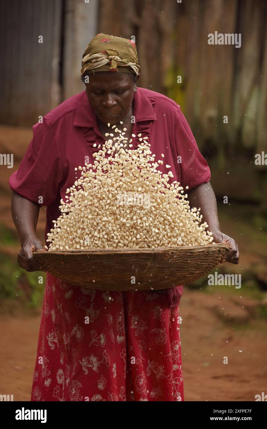 Winnowing africa hi-res stock photography and images - Alamy