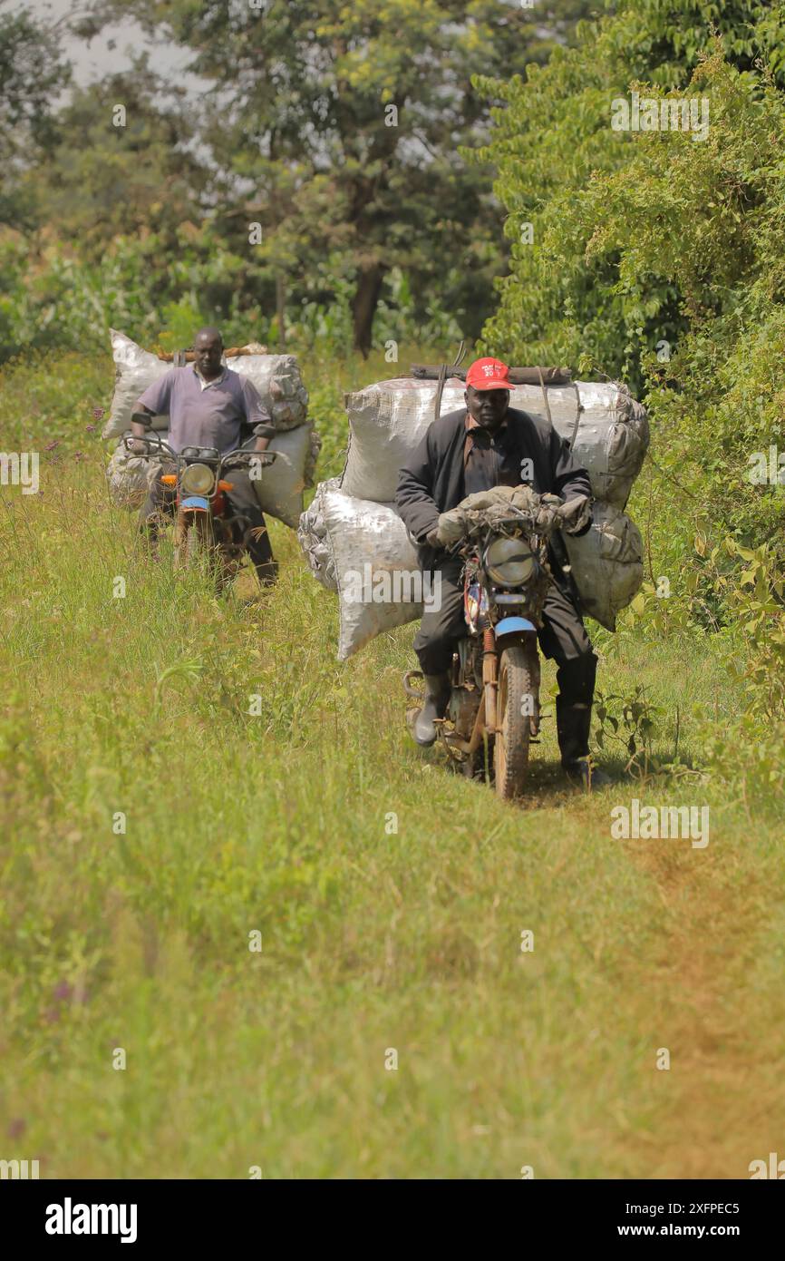 Kalenjin hi-res stock photography and images - Alamy