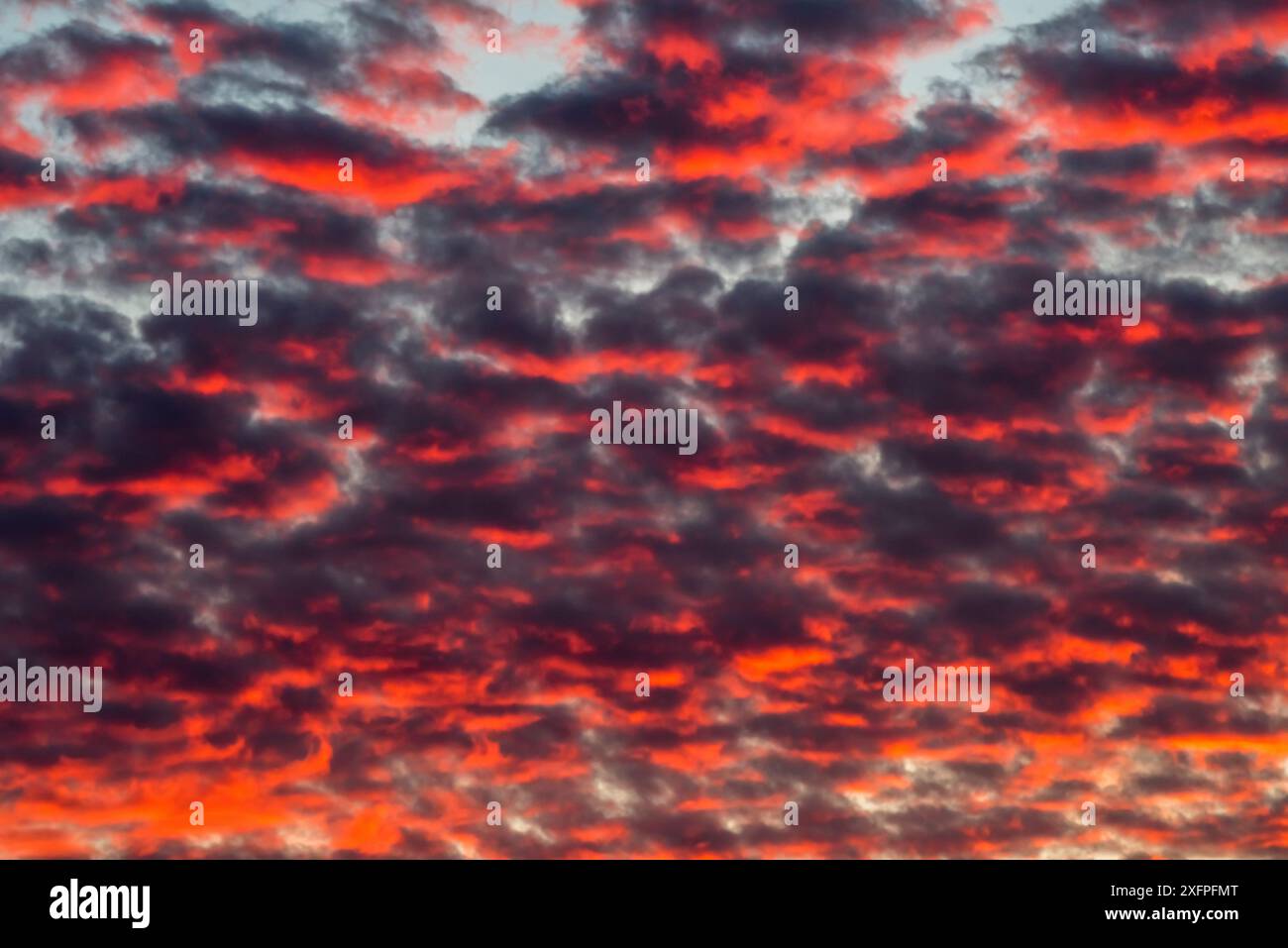 Red britain uk british wales welsh hi-res stock photography and images ...