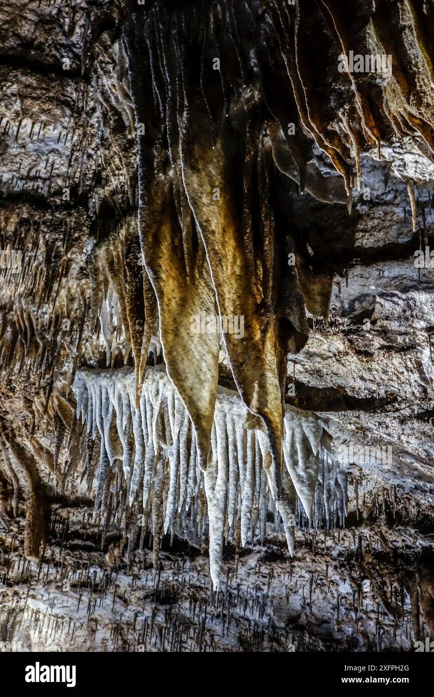 Flowstone, sheetlike deposits of calcite suspended from ceiling in the ...