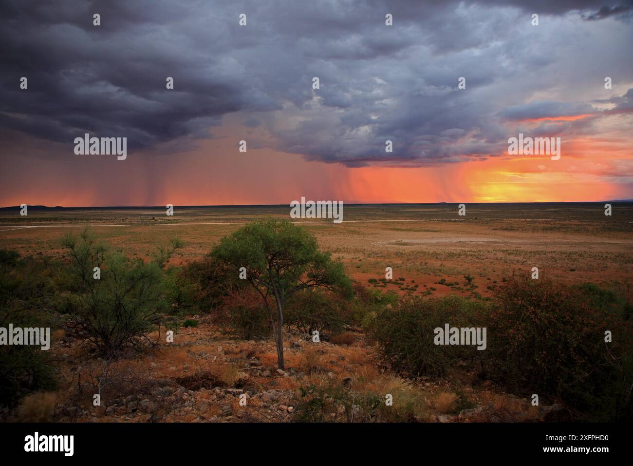 Storms over the Etosha National Park in Namibia Stock Photo - Alamy