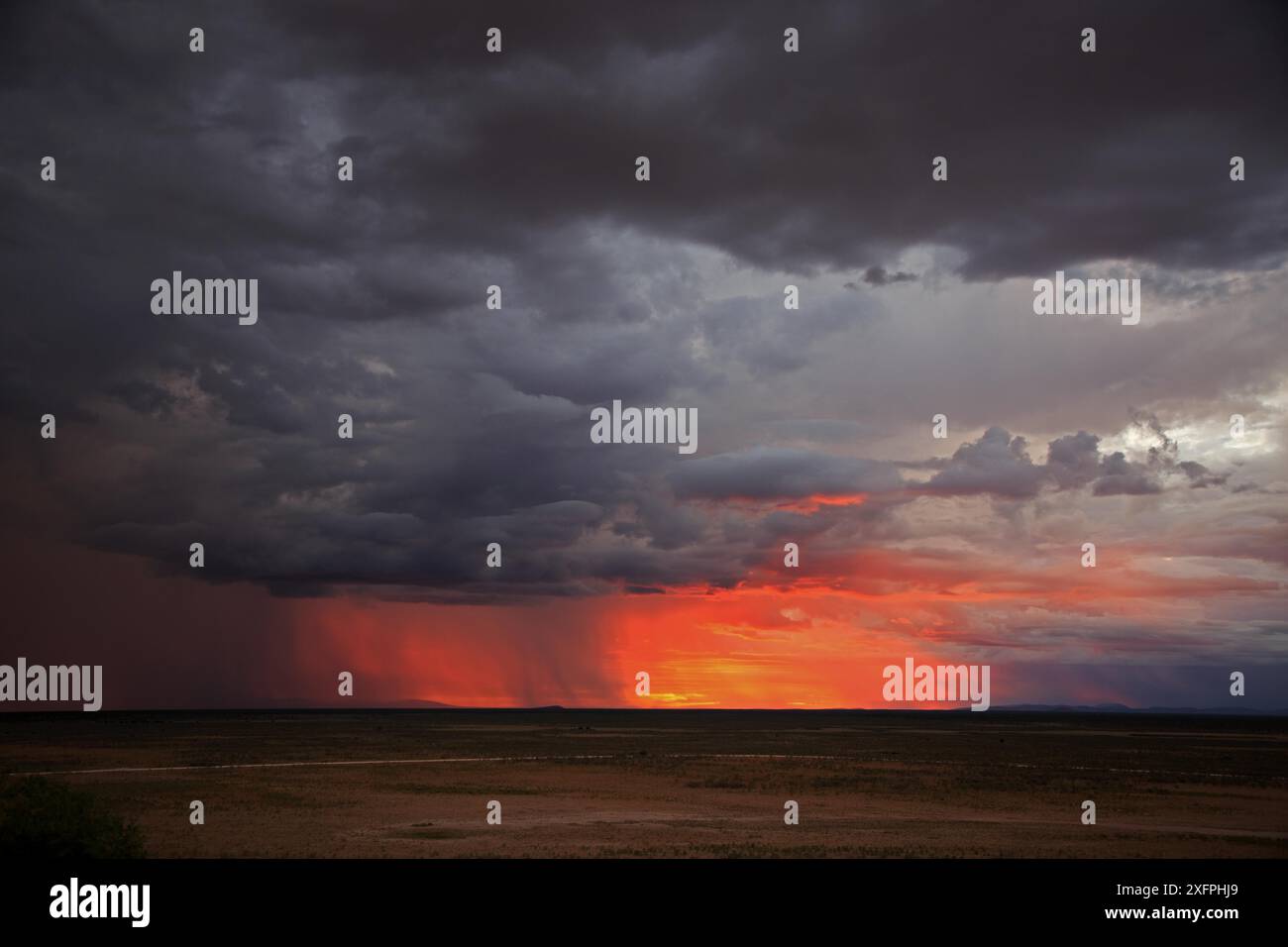 Storms over the Etosha National Park in Namibia Stock Photo - Alamy